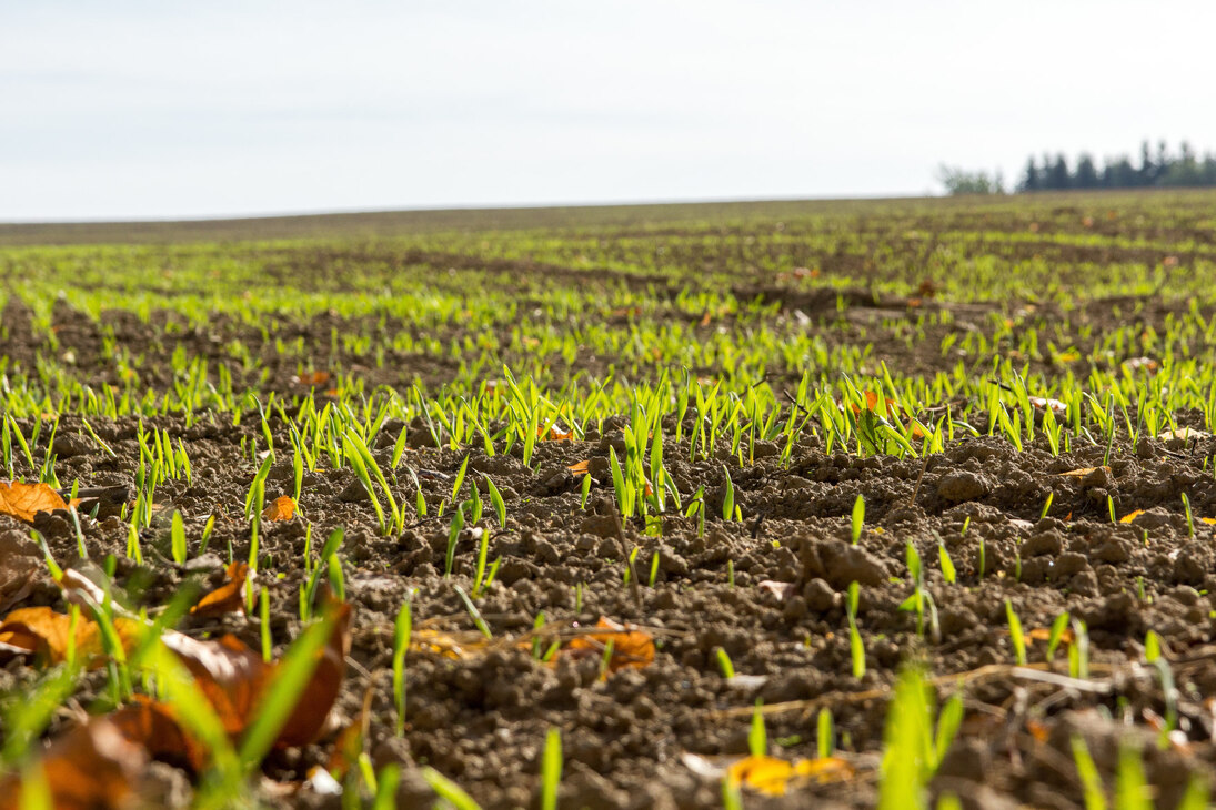 Boden ist einzigartig - Boden, Altlasten - sachsen.de